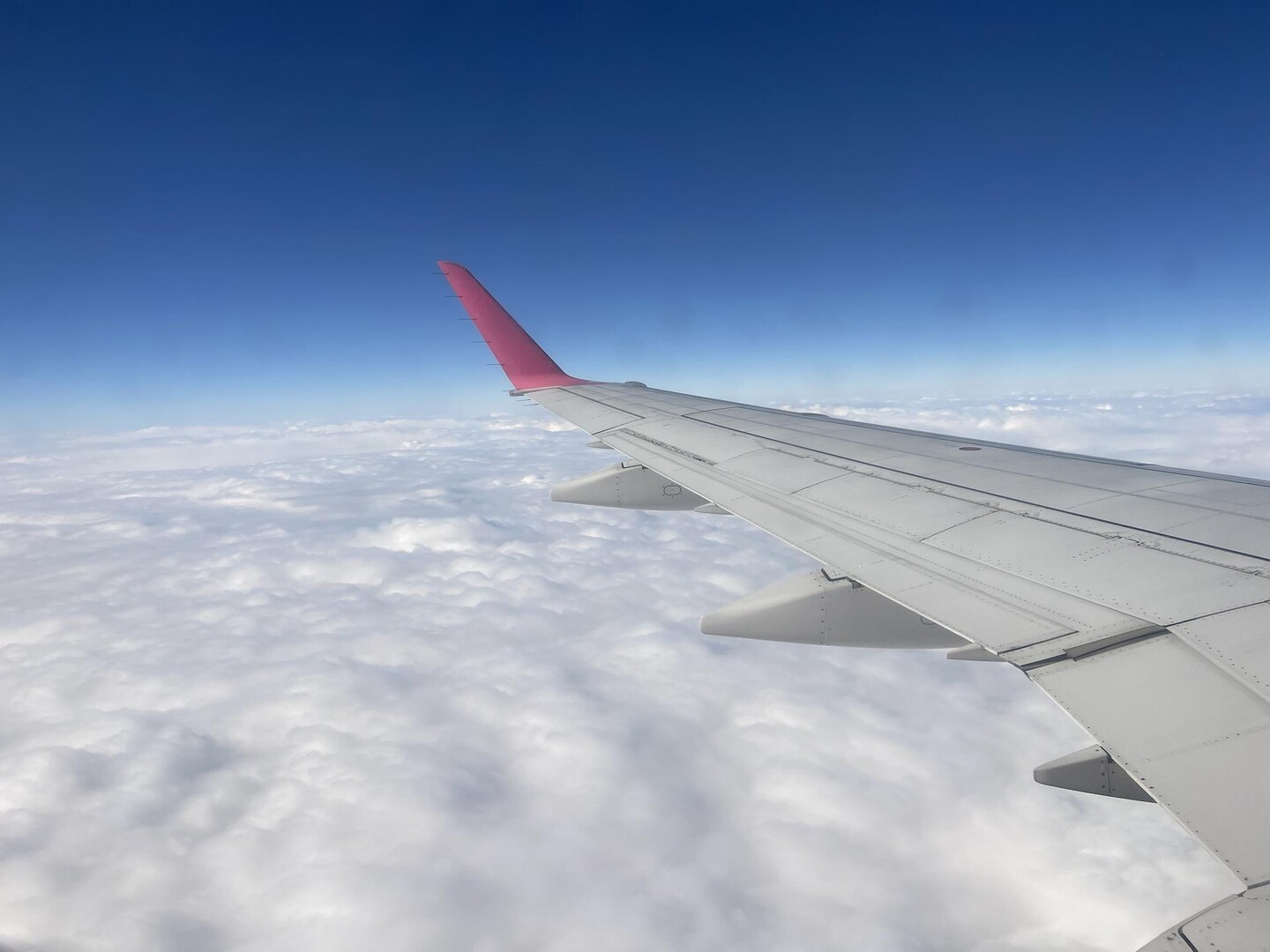 出張の合間に ︎ まさかの先月に続き、ま... / TERUさんのモーメント | YAMAP / ヤマップ