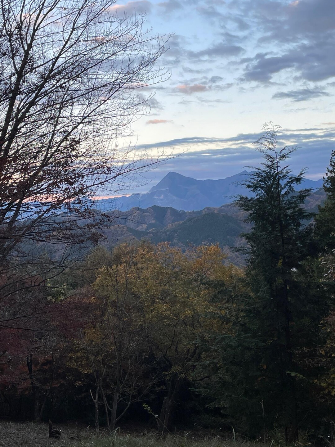 四阿屋山 / oyanさんの両神山・諏訪山・二子山の活動データ | YAMAP / ヤマップ