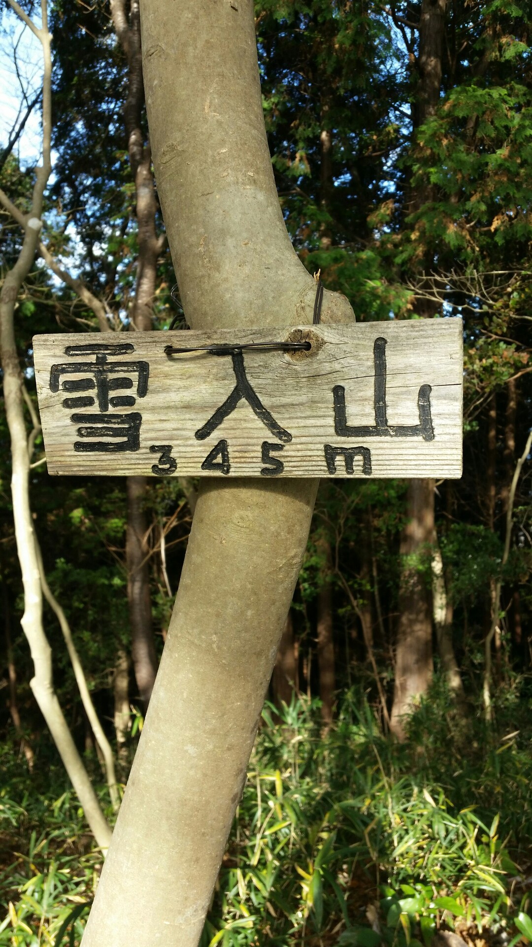 浅間山・青木葉山・雪入山・剣ヶ峰ソロハイキング🚶 / Toshiakiさんの雪入山・青木葉山・閑居山の活動日記 | YAMAP / ヤマップ