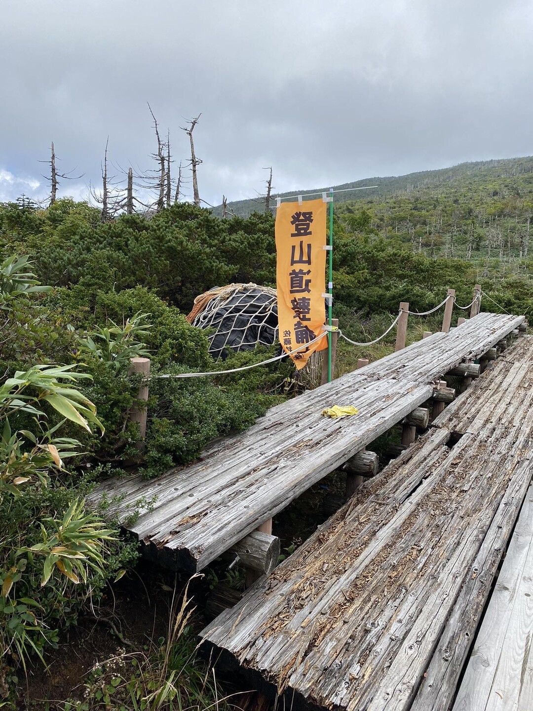 前山・杉ヶ峰・屏風岳 / cha-shuさんの蔵王山・雁戸山・不忘山の活動データ | YAMAP / ヤマップ