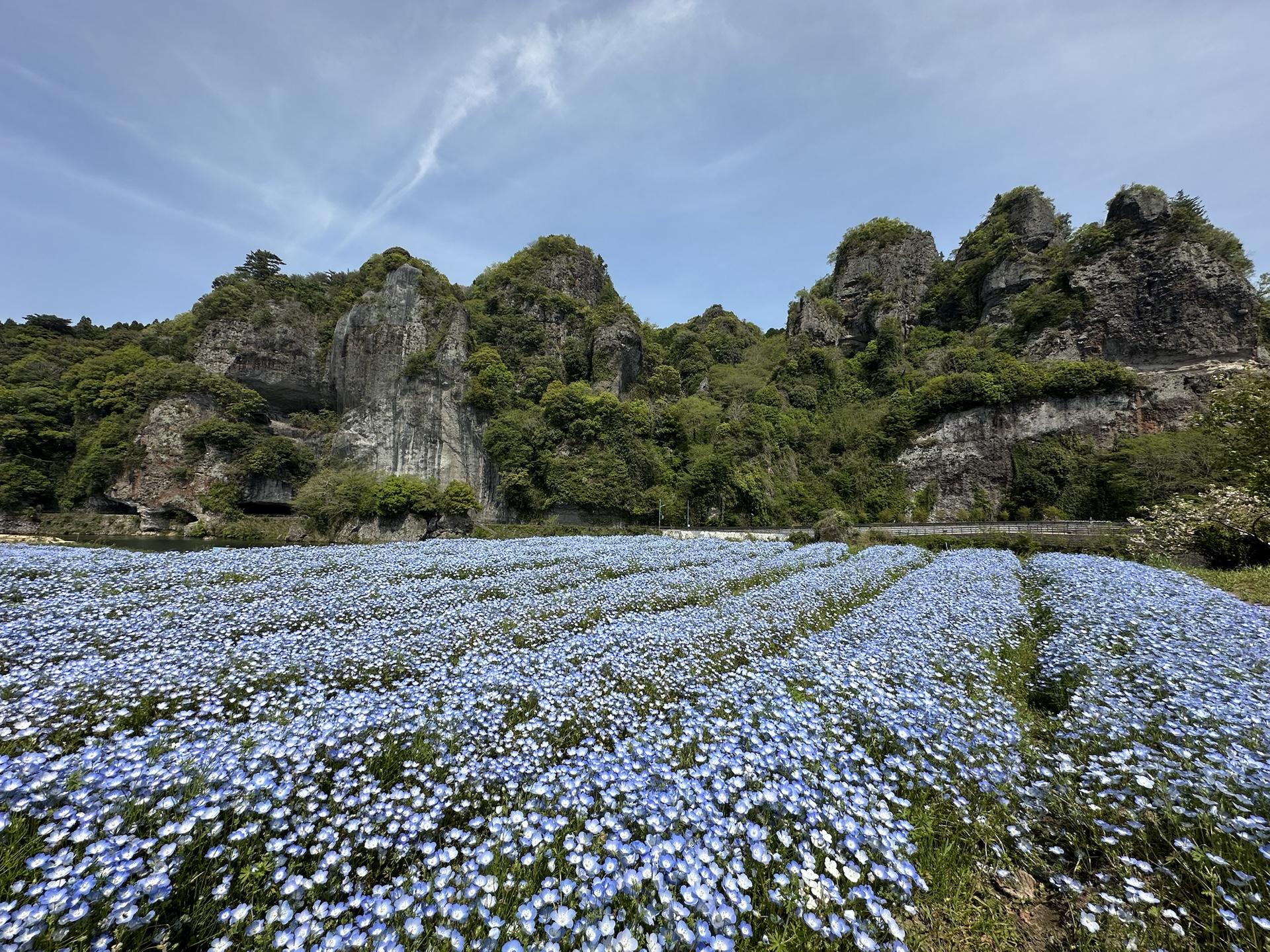 青の洞門・競秀峰 / yukaさんの青の洞門・競秀峰の活動データ | YAMAP / ヤマップ