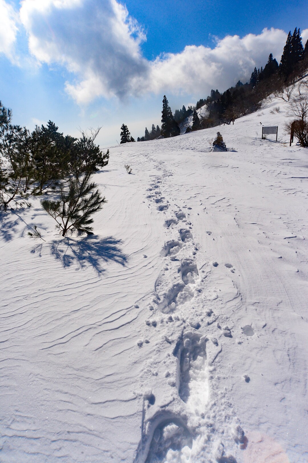 ☃️豪雪北比良峠⛄ / emiさんの比良山地・武奈ヶ岳・釈迦岳の活動データ | YAMAP / ヤマップ