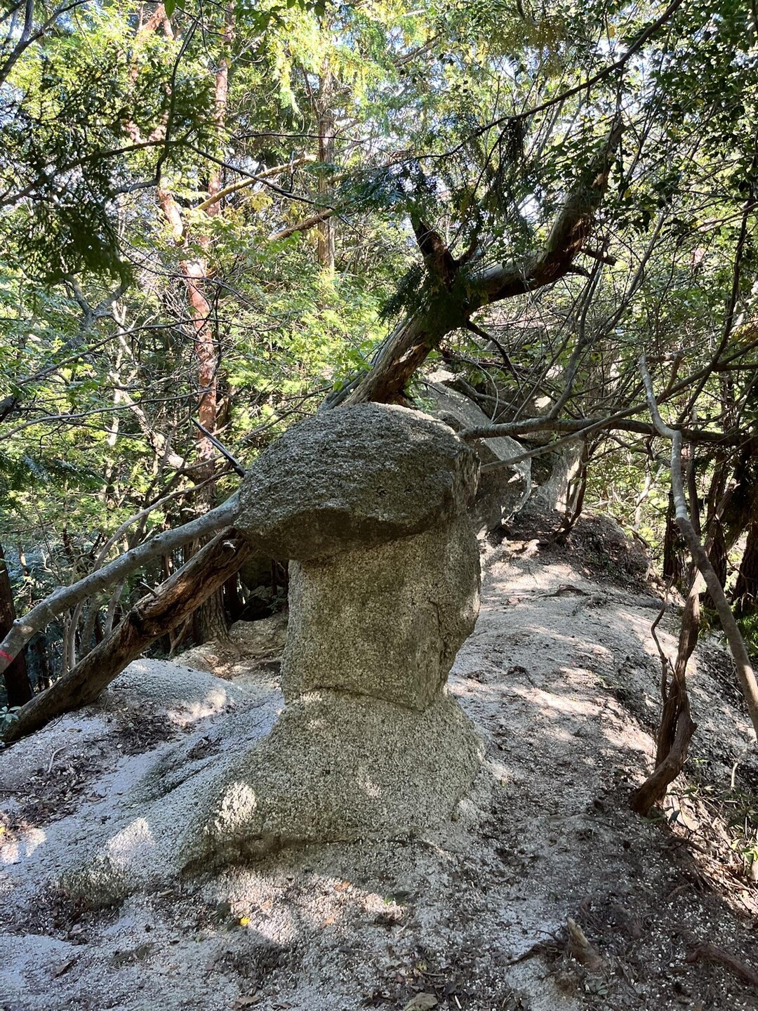 takayamaさんの投稿したフィールドメモ | YAMAP / ヤマップ