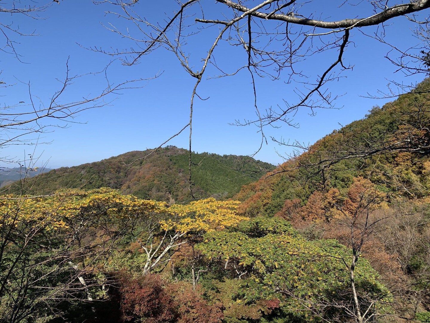 妙見山（大阪能勢町と兵庫県川西市にまたがる） / Lucy maさんの能勢妙見山・歌垣山・天台山の活動データ | YAMAP / ヤマップ
