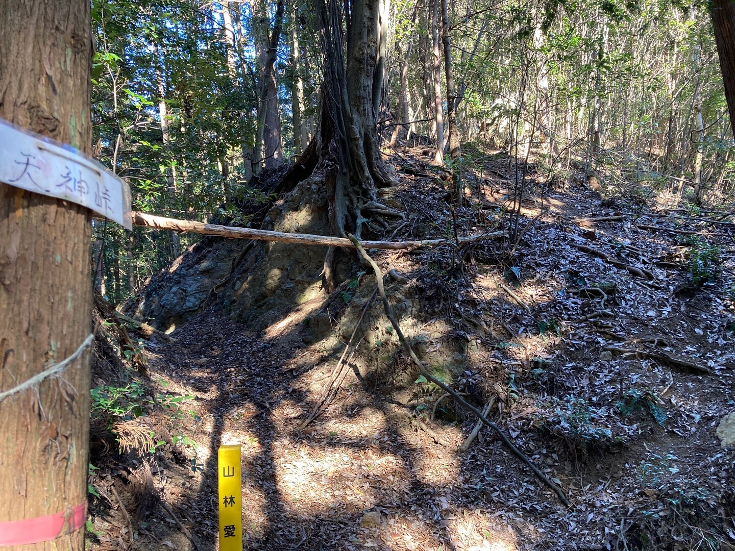 mileさんの投稿したフィールドメモ | YAMAP / ヤマップ