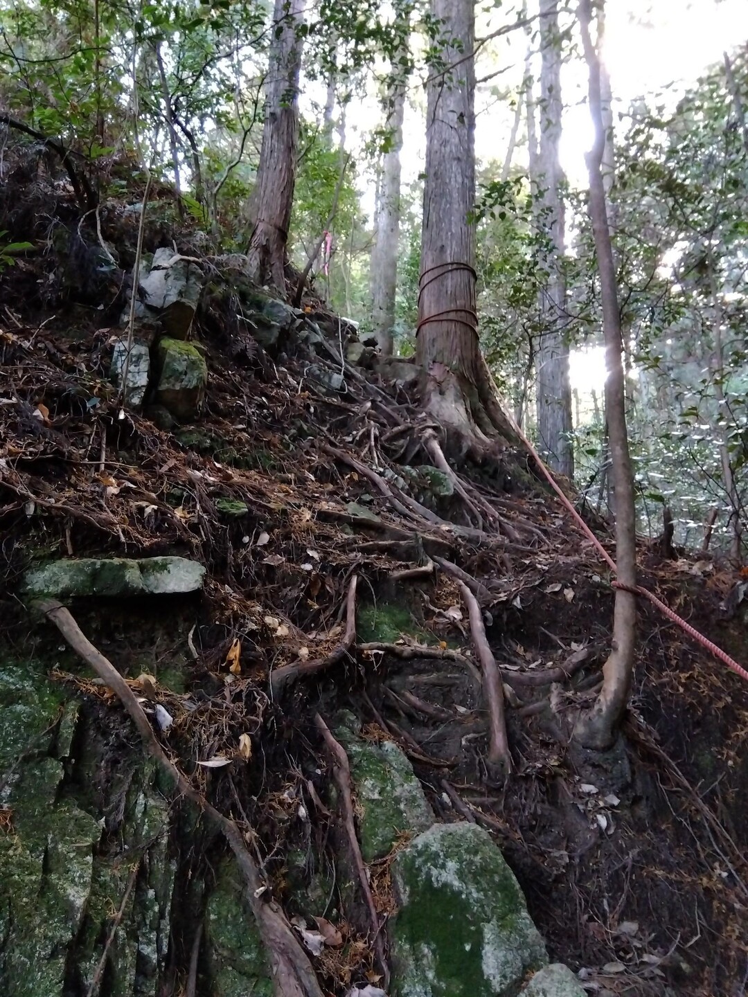 ryuさんの投稿したフィールドメモ | YAMAP / ヤマップ