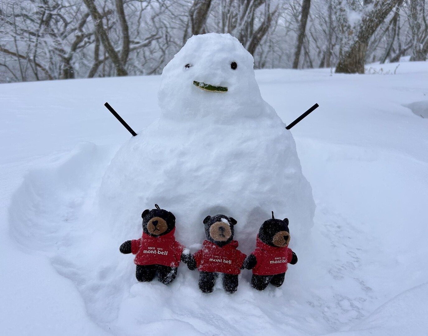 とにかく雪で遊びたくて((´∀`*)) 瀬の本ルート / datinさんの九重山（久住山）・大船山・星生山の活動データ | YAMAP / ヤマップ