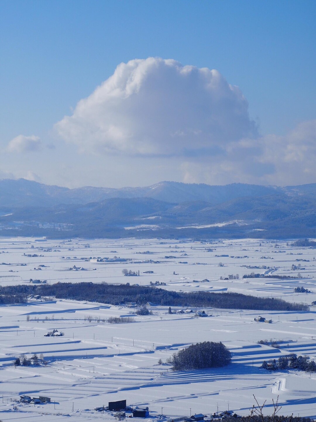 鬼斗牛山(三角山) R5.1.7 / ROBOさんの鬼斗牛山の活動データ | YAMAP / ヤマップ