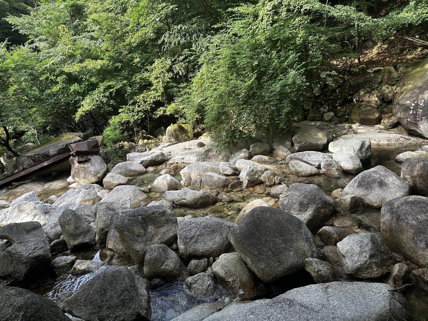 podoryさんの投稿したフィールドメモ | YAMAP / ヤマップ