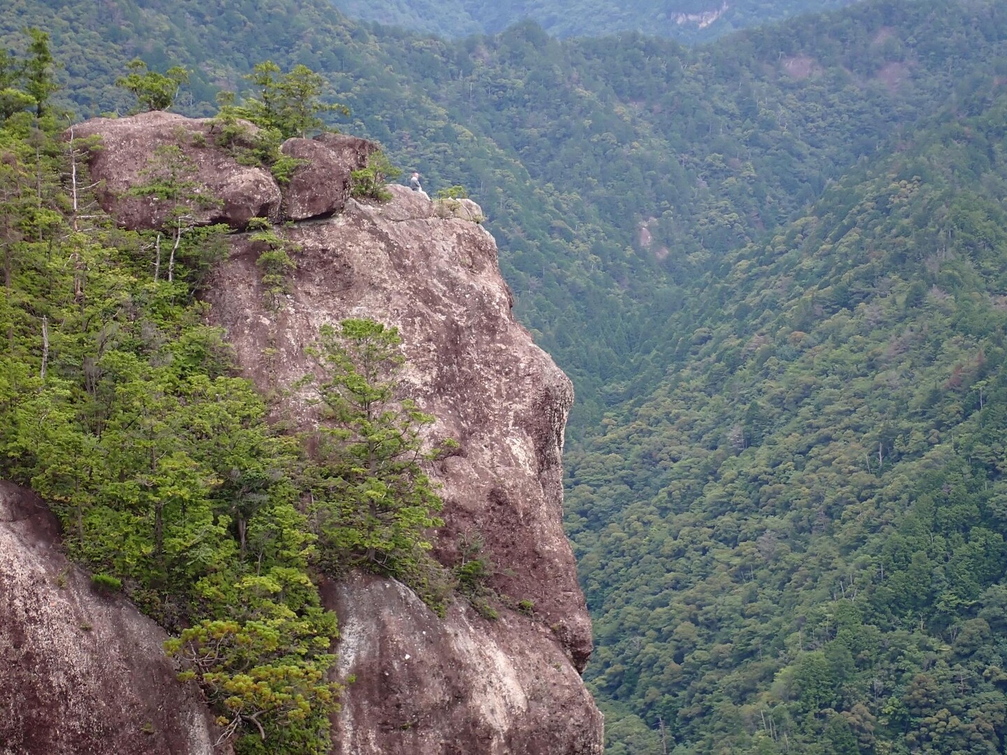 百畳岩・上臈岩 / b_tenさんの宇連山・鳳来寺山・岩古谷山の活動データ | YAMAP / ヤマップ