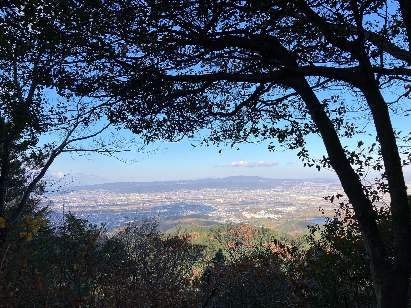大国見山・虚空蔵山(ちょっとだけ山の辺の道) / Yasさんの大国見山の活動データ | YAMAP / ヤマップ