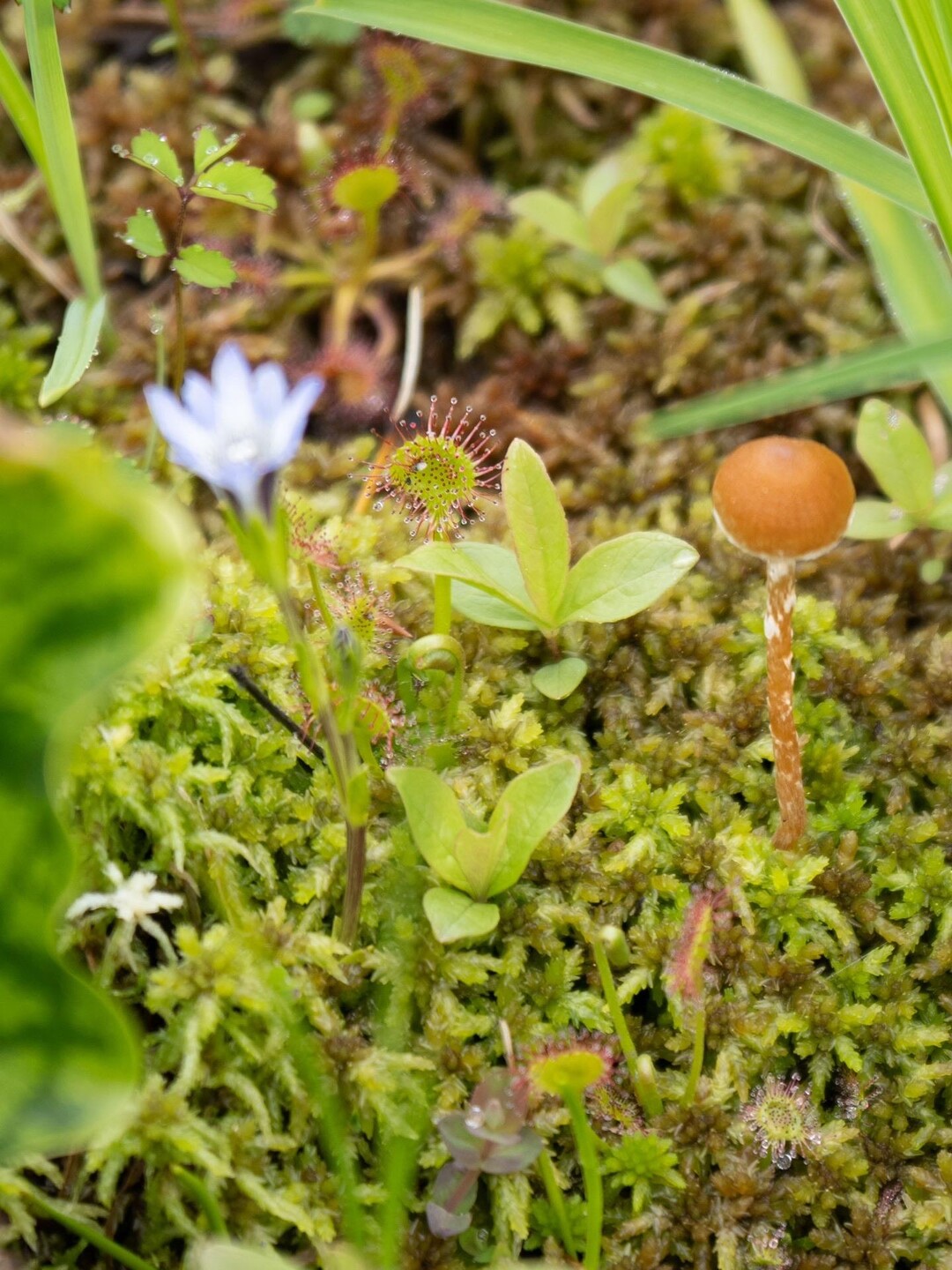 籾糠山 / llm.llさんの籾糠山の活動データ | YAMAP / ヤマップ