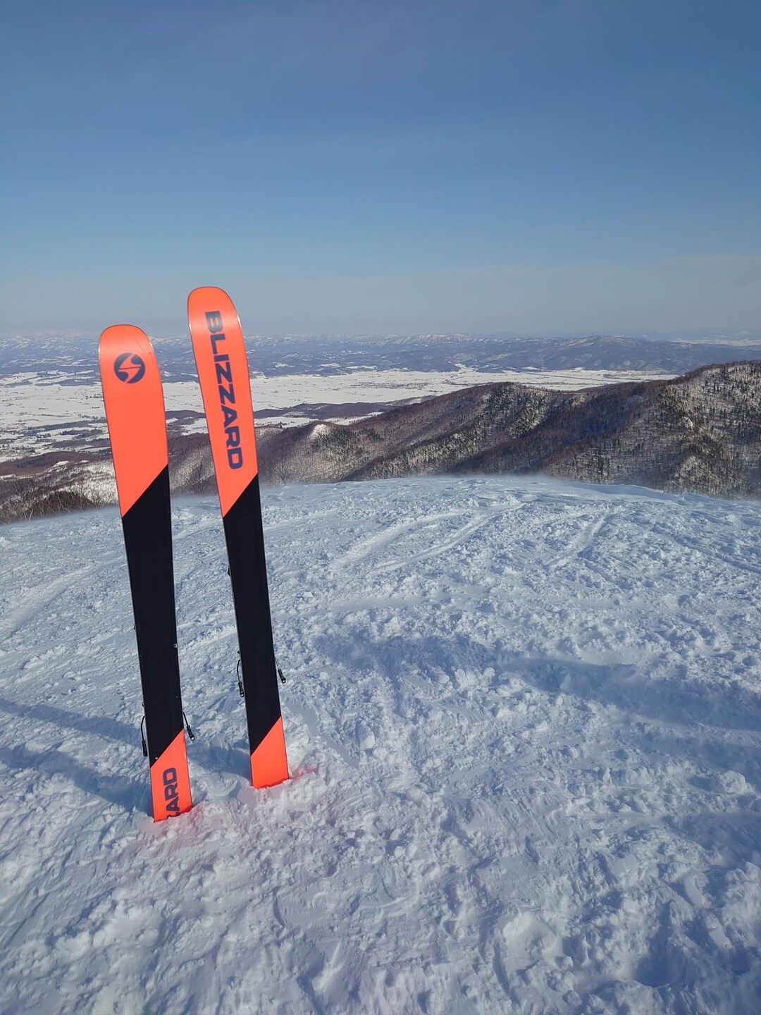 音江山BC / まむ蔵さんの音江山・沖里河山の活動日記 | YAMAP / ヤマップ