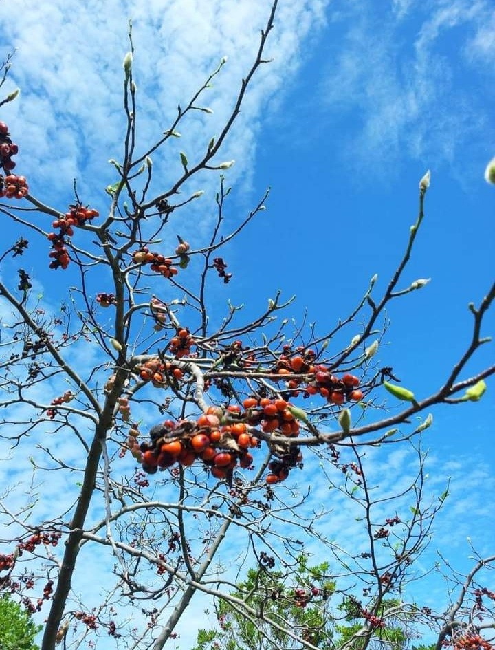 秋の入り口。 https://youtu... / コックンさんのモーメント | YAMAP / ヤマップ