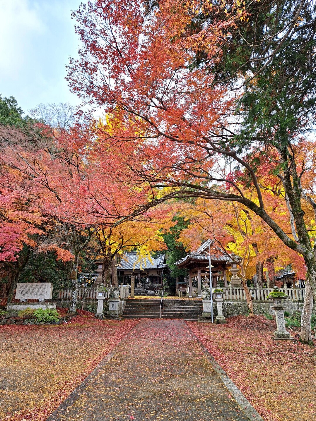 旬景・山本山 / Leo.sさんの賤ヶ岳・山本山の活動データ | YAMAP / ヤマップ