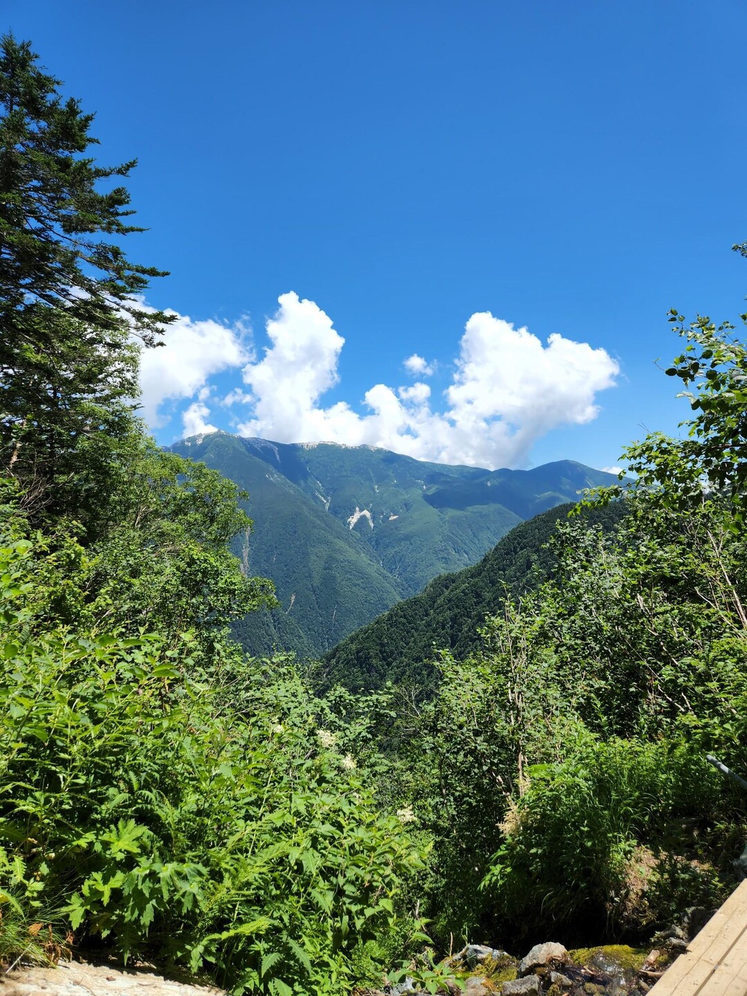 HISAさんの投稿したフィールドメモ | YAMAP / ヤマップ