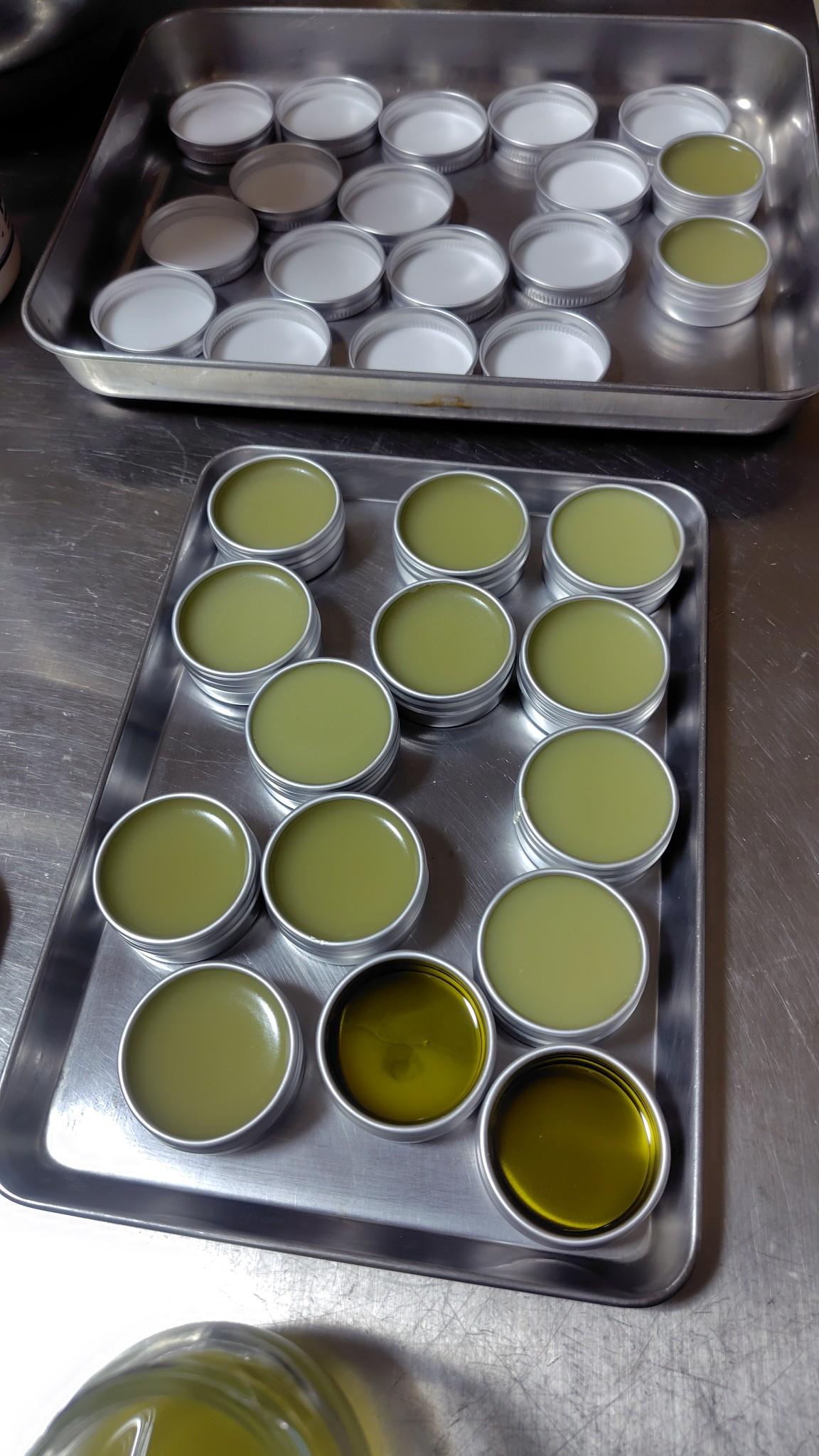 今年もこの季節がやってきました http... / ななおみさんのモーメント | YAMAP / ヤマップ