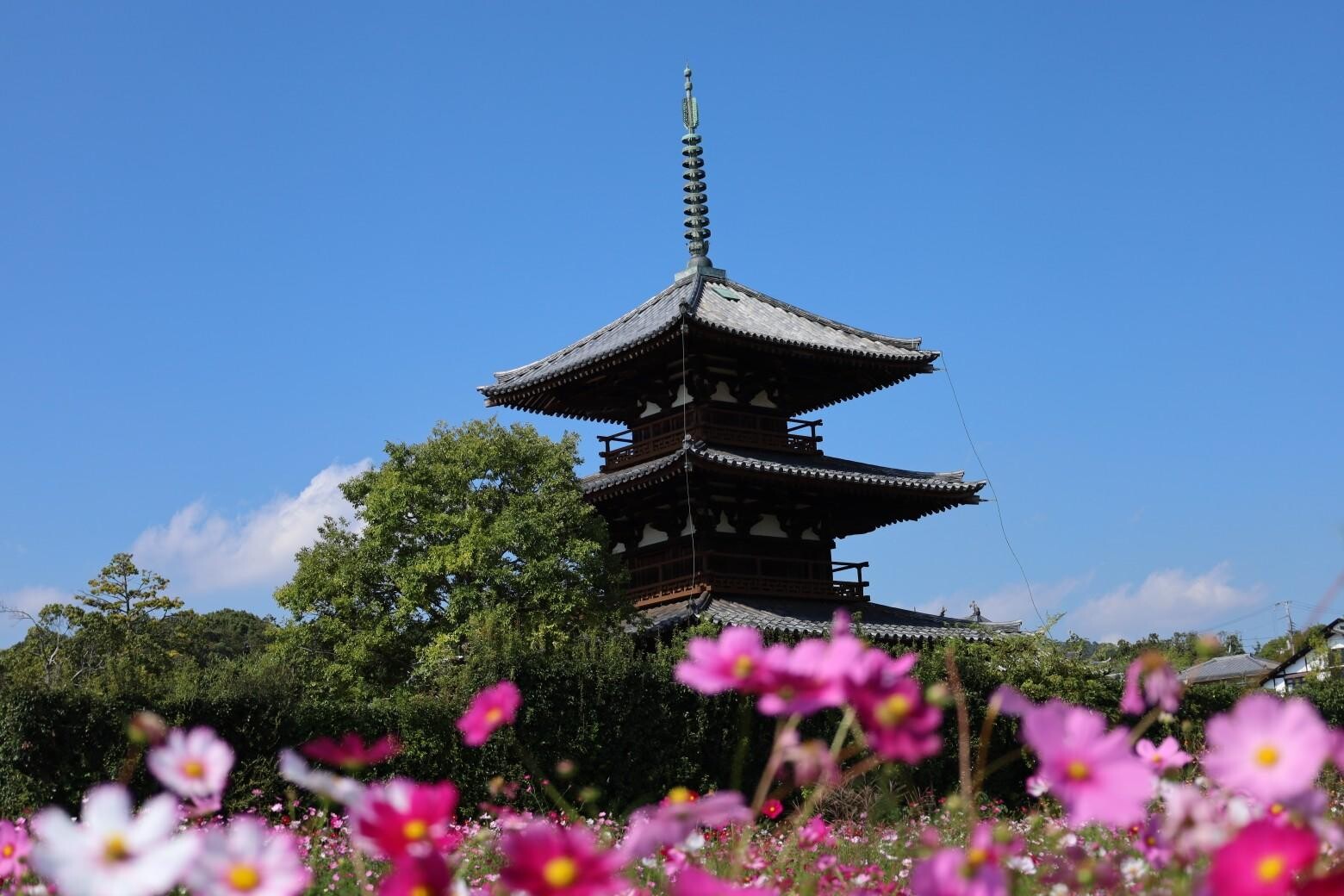 斑鳩の里さんぽ / sigeさんの金剛山・二上山・大和葛城山の活動データ | YAMAP / ヤマップ