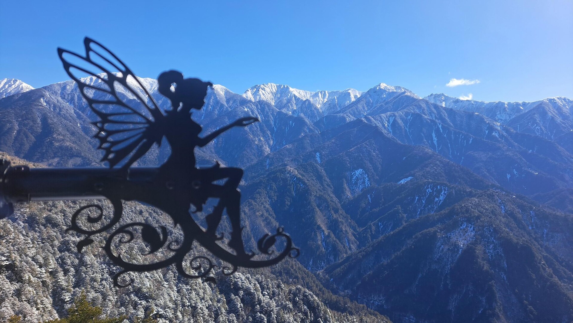 妖精に会いに糸瀬山＋GP横山 / takabooさんの木曽駒ヶ岳・空木岳・越百山の活動データ | YAMAP / ヤマップ