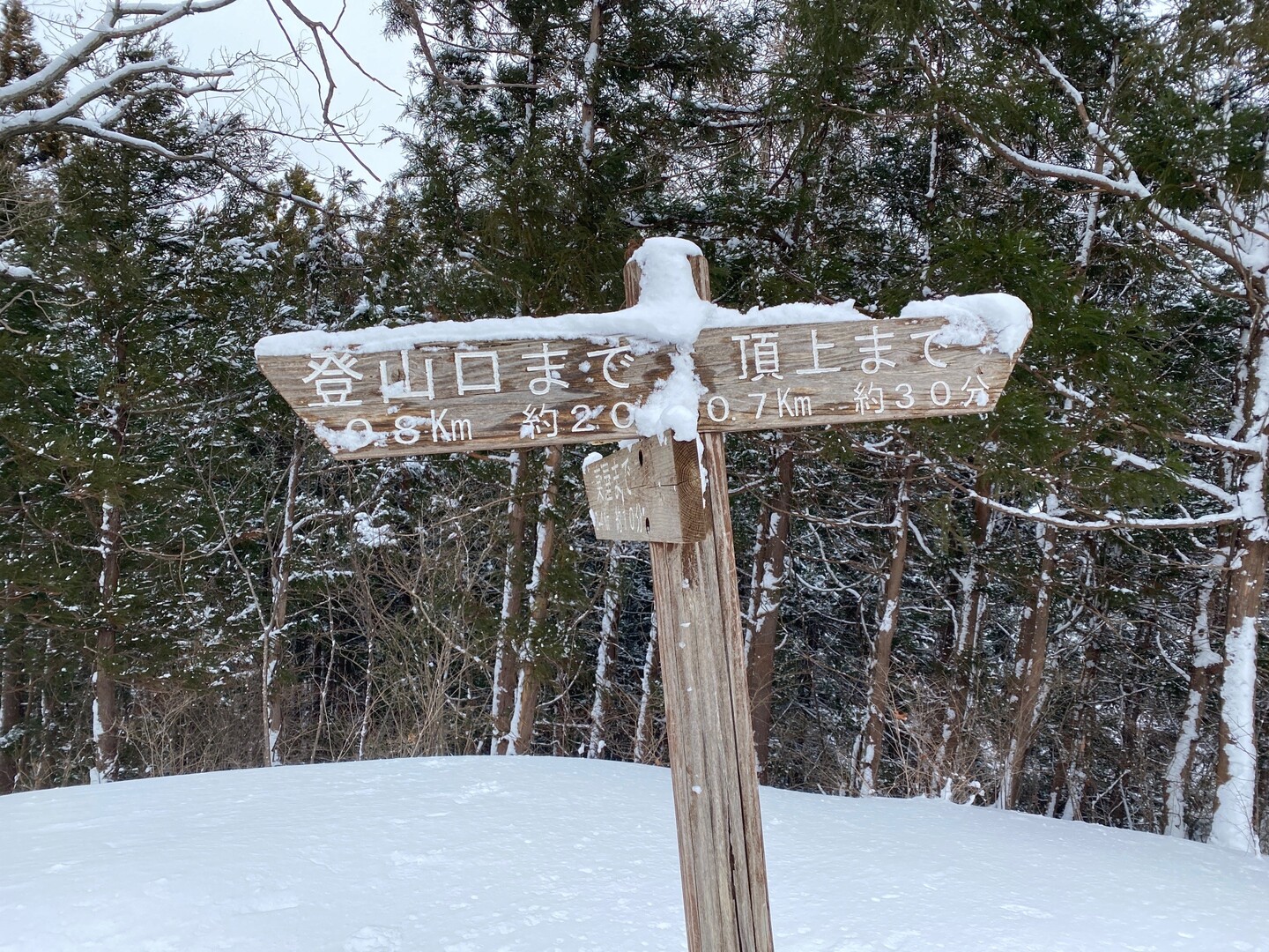 達居森リタイヤ / kung-fuさんの七ツ森の活動データ | YAMAP / ヤマップ