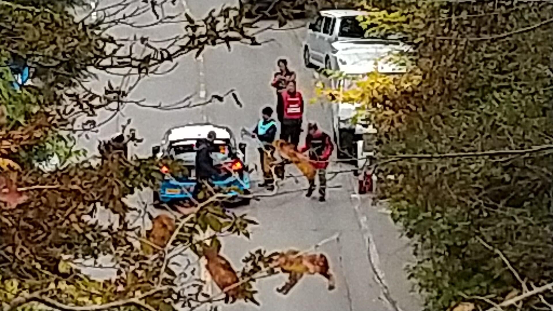 OT134 HG×2、M、WRC 観戦 本宮山 / てんからたろうさんの本宮山・大日山・風頭山の活動データ | YAMAP / ヤマップ