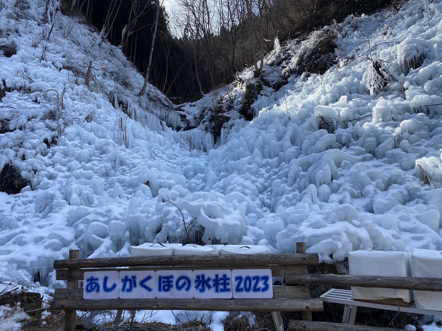 プチ遠足🚙💨 【あしがくぼの氷柱20... / taraさんのモーメント | YAMAP / ヤマップ