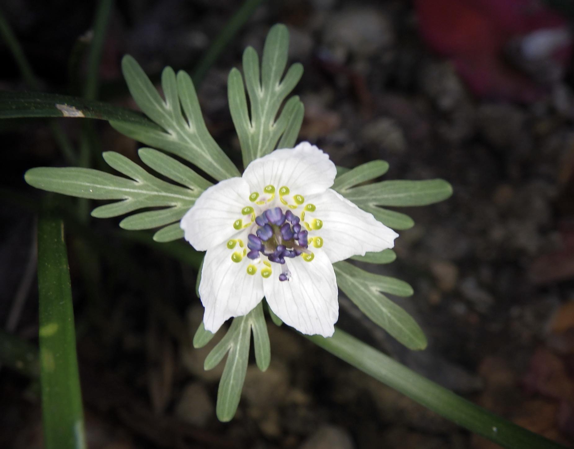 Tsubuyanさんの レポートを拝見し... / motomickyさんのモーメント | YAMAP / ヤマップ