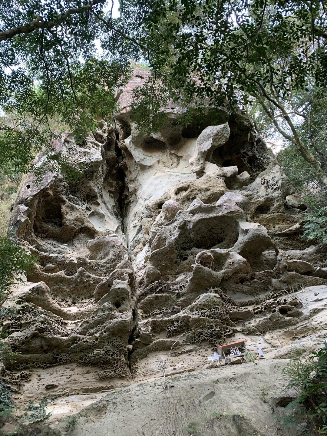 1st 双石山 ️ / tomiさんの双石山・花切山・岩壺山の活動データ | YAMAP / ヤマップ