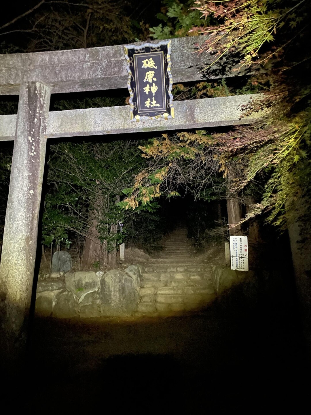 Mt.HONGU5 / kjさんの本宮山・大日山・風頭山の活動データ | YAMAP / ヤマップ