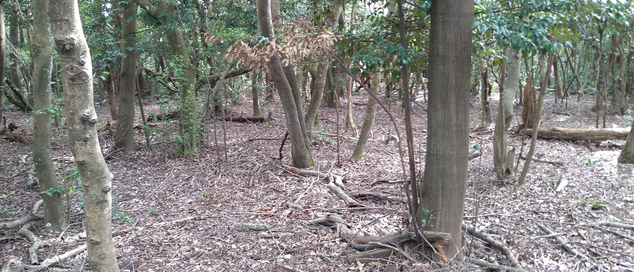 kame11さんの投稿したフィールドメモ | YAMAP / ヤマップ