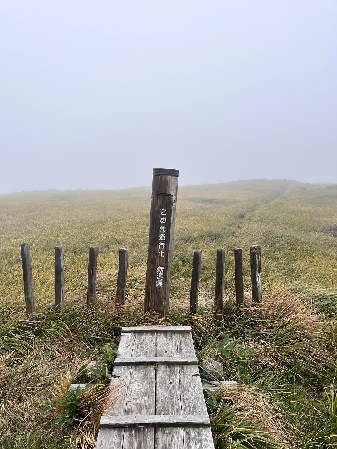 平ヶ岳（鷹ノ巣ルート） / MJさんの平ヶ岳・台倉山・池ノ岳の活動データ | YAMAP / ヤマップ