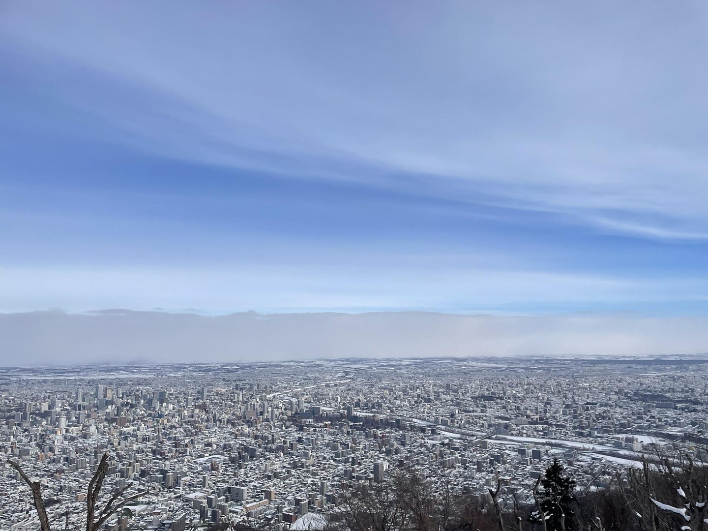 久々の藻岩☺️健康第一 / sa-bbさんの藻岩山の活動日記 | YAMAP / ヤマップ