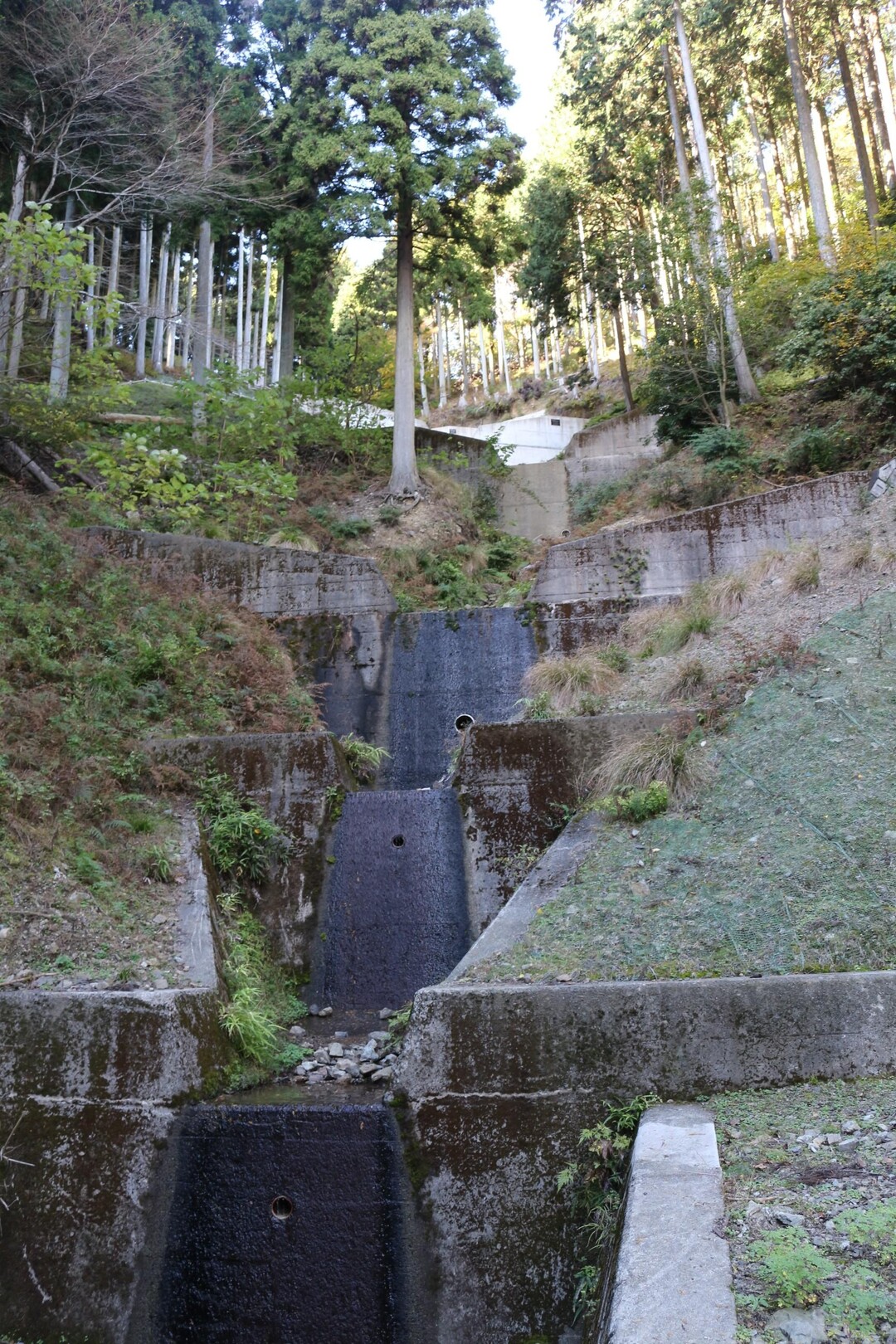 三方山・北尾根P826峰・養老山スカイテラス / しー3016さんの養老山・笙ヶ岳・三方山の活動データ | YAMAP / ヤマップ