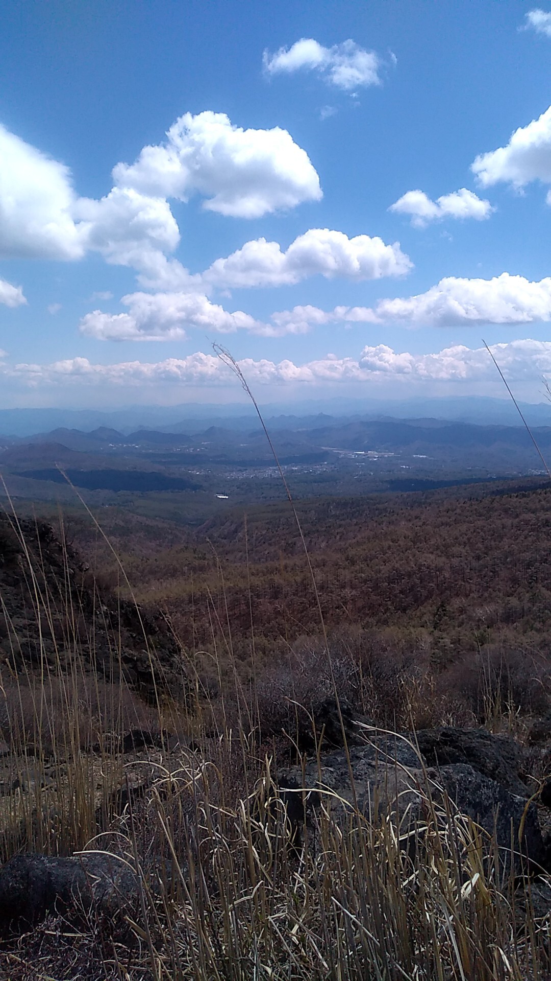 小浅山登山-2021-05-03 / reo さんの登山の活動データ | YAMAP / ヤマップ
