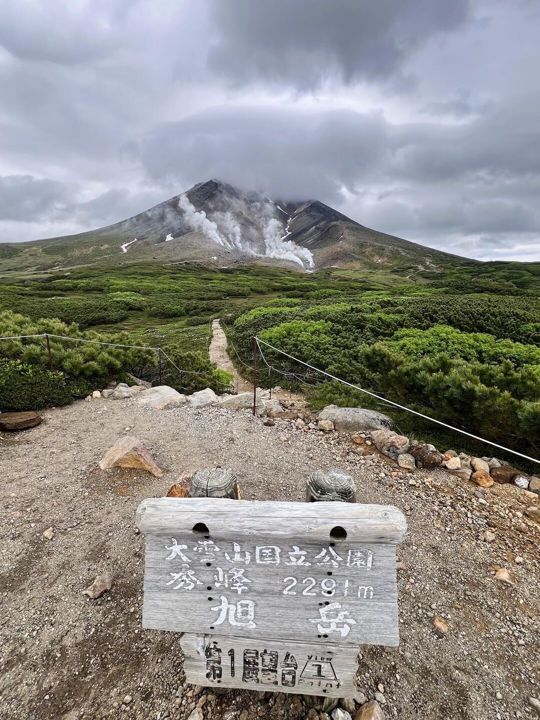 最高峰 / FUM!さんの大雪山系・旭岳・トムラウシの活動データ | YAMAP / ヤマップ