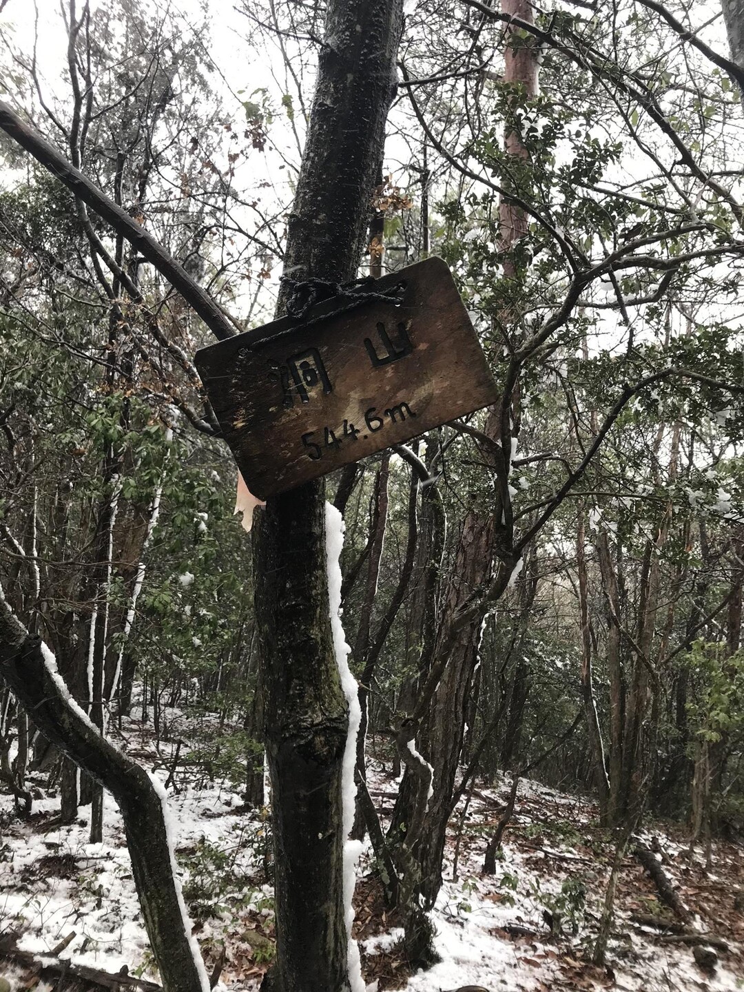 洞山 / cbmdさんの洞山の活動データ | YAMAP / ヤマップ