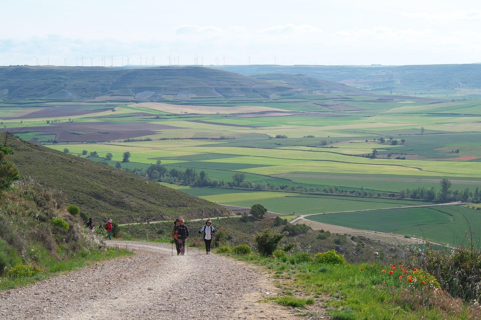 フランス人の道 DAY14 Hontanas - Itero de la Vega / 旅する巡礼者さんのその他の活動データ | YAMAP / ヤマップ