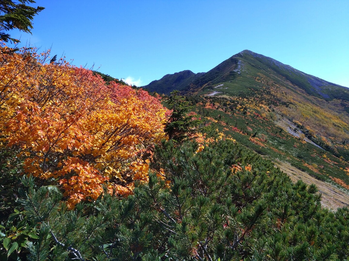 「鹿島槍ヶ岳に行くんだけど、 一緒にど... / kmk-Nさんのモーメント | YAMAP / ヤマップ
