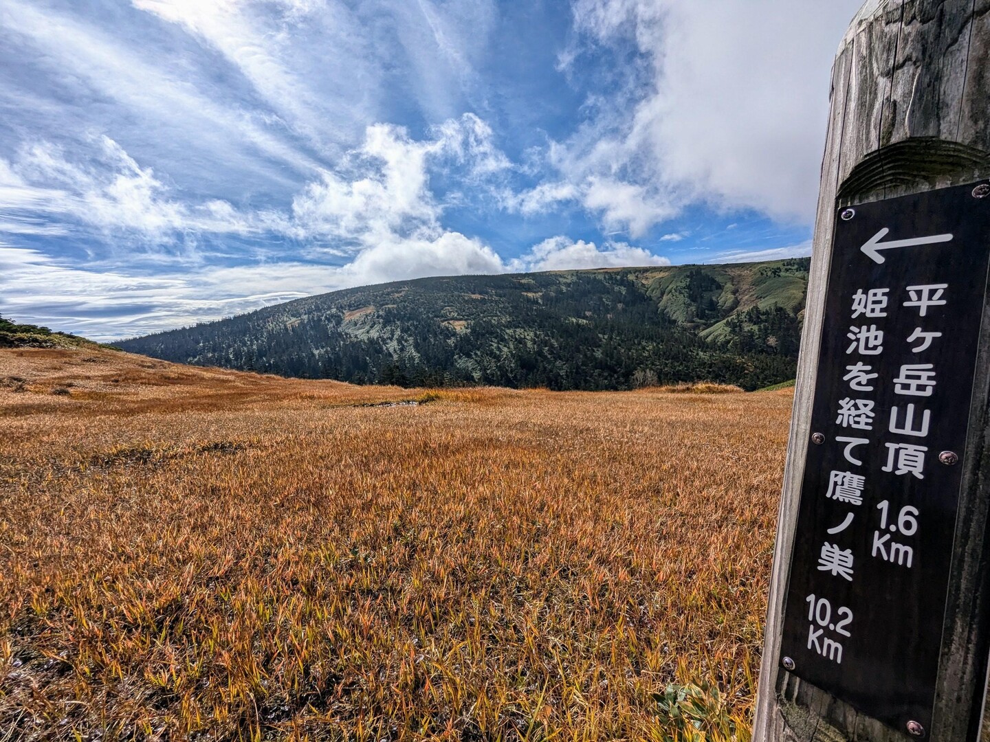 😃平ヶ岳💦日本百名山#97 / "satoh"さんの平ヶ岳・台倉山・池ノ岳の活動日記 | YAMAP / ヤマップ