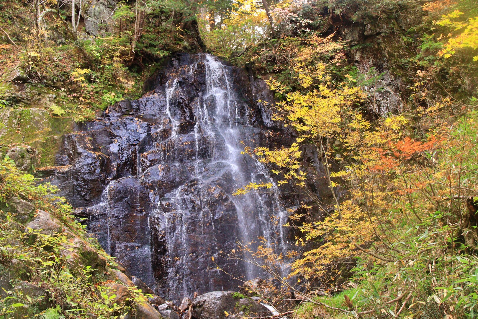 静かなる古の道～御池古道・会津沼田街道 / t-yanさんの尾瀬・燧ヶ岳の活動データ | YAMAP / ヤマップ