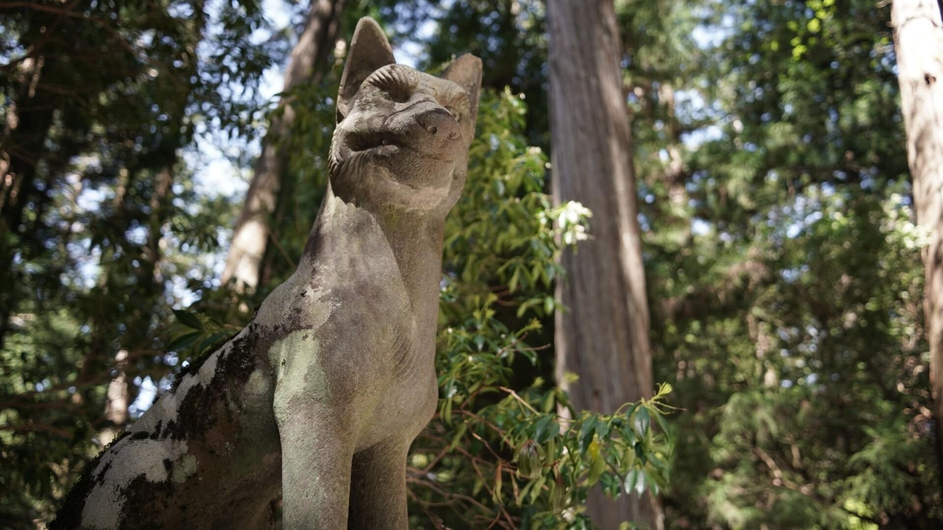 20240428-29 三峯神社から雲取山 / しょーんさんの雲取山・鷹ノ巣山・七ツ石山の活動データ | YAMAP / ヤマップ