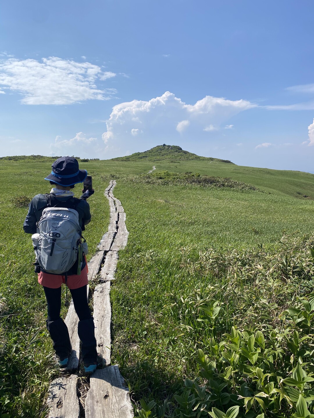 先日、栗駒山⛰️のモン・サン・ミシェルに... / TMZさんのモーメント | YAMAP / ヤマップ