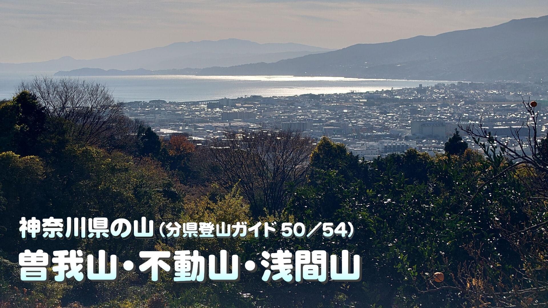 Youtube:[https://you... / StrayCatさんのモーメント | YAMAP / ヤマップ