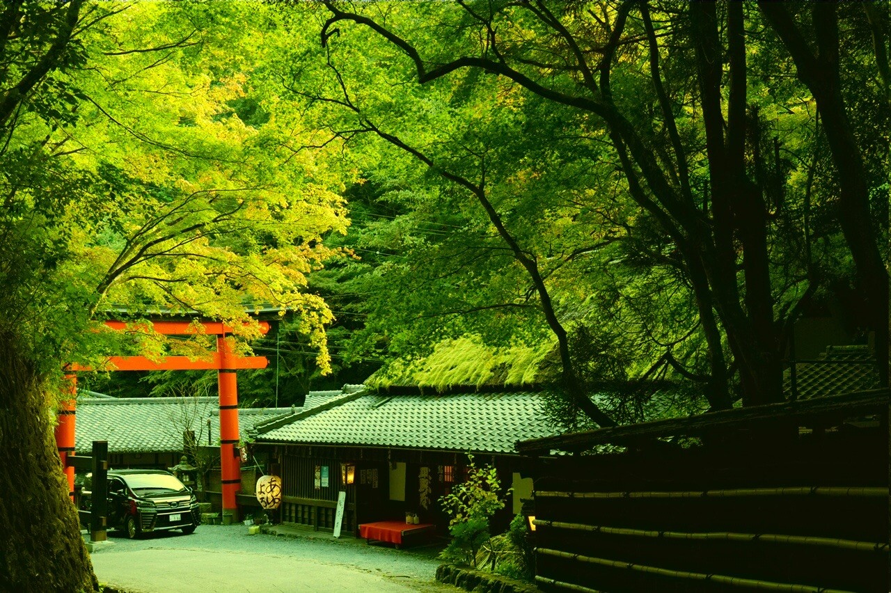 愛宕山 / makimakiさんの愛宕山・三頭山・朝日峯の活動データ | YAMAP / ヤマップ