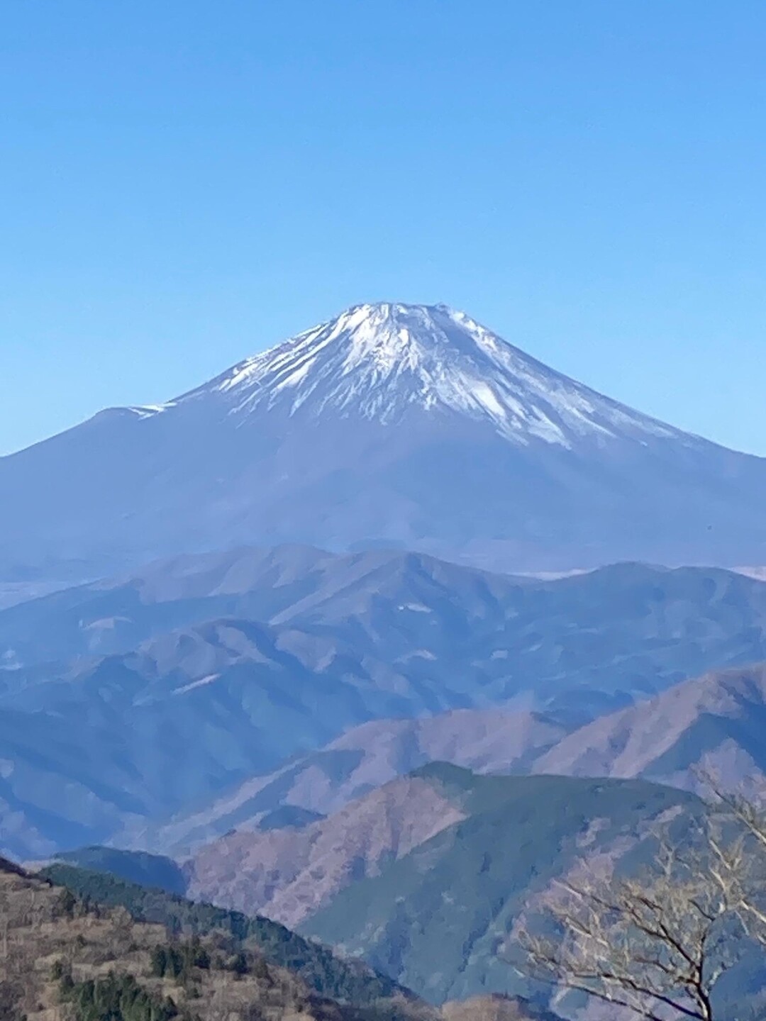 小春日和の鍋割山 / BAYSさんの塔ノ岳・丹沢山・蛭ヶ岳の活動データ | YAMAP / ヤマップ