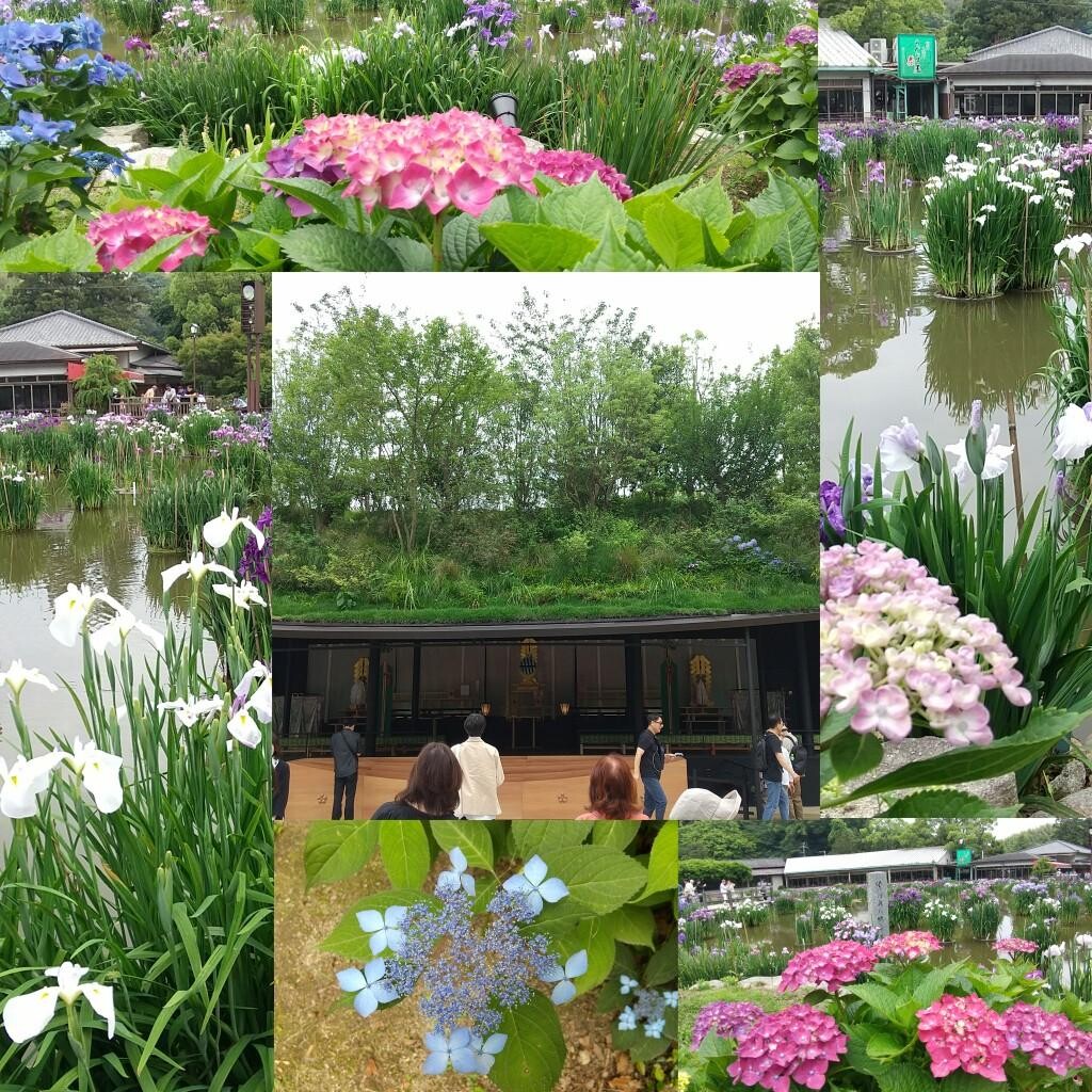 124年ぶりに本殿の大改修中の太宰府天満... / コテツ1113さんのモーメント | YAMAP / ヤマップ