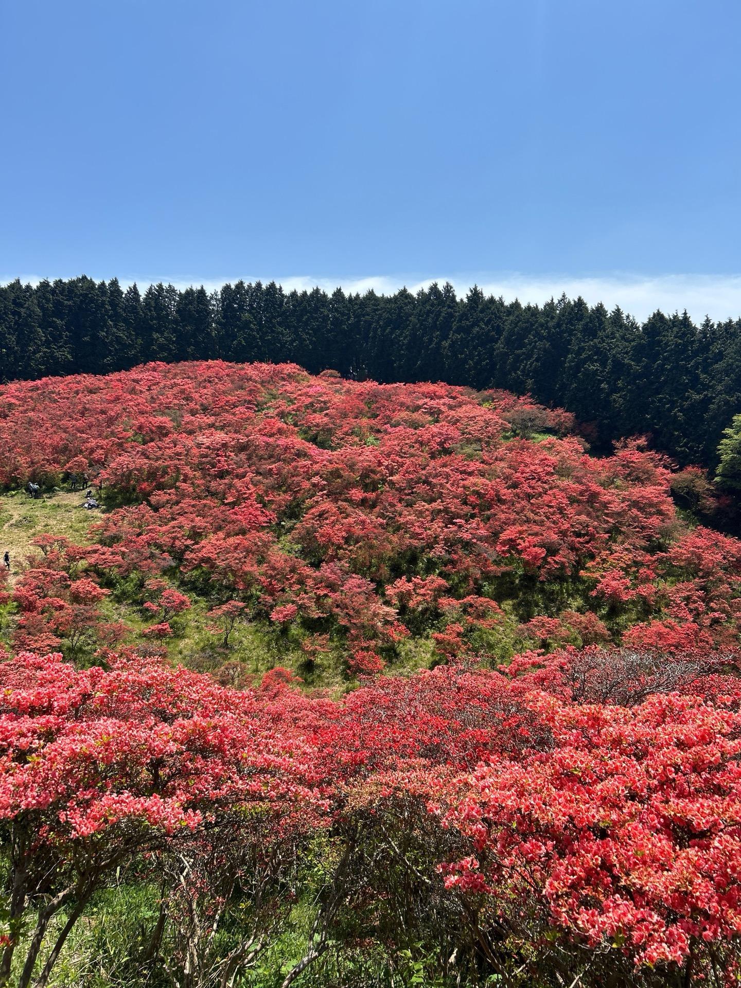 大和葛城山 / ごっちゃんさんの金剛山・二上山・大和葛城山の活動データ | YAMAP / ヤマップ