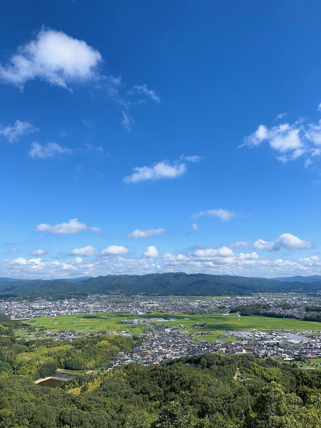 学びのあった山登りin福山𖤣𖥧𖥣𖡡 / myonさんの福山・江田山・高鳥居山の活動日記 | YAMAP / ヤマップ