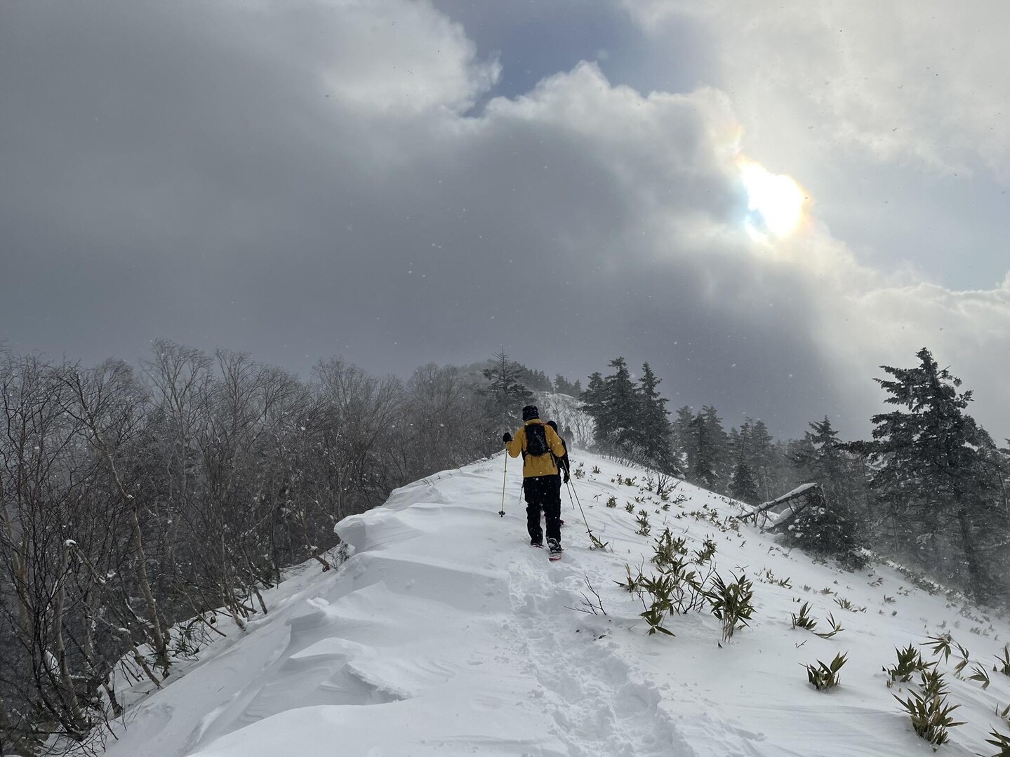 黒姫山スノーシュー / muraさんの黒姫山の活動データ | YAMAP / ヤマップ