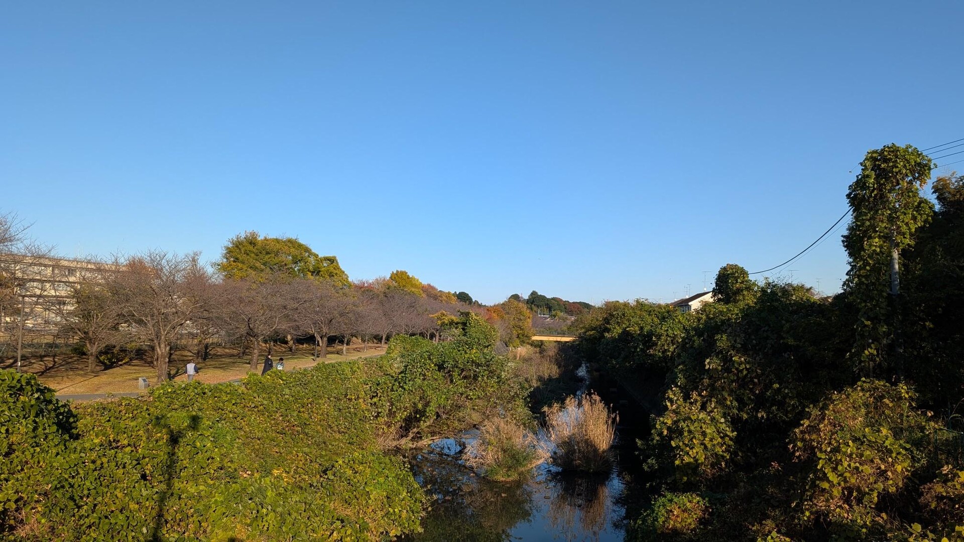 手賀沼ランニング-2024-11-25 / TK54さんのランニングの活動データ | YAMAP / ヤマップ